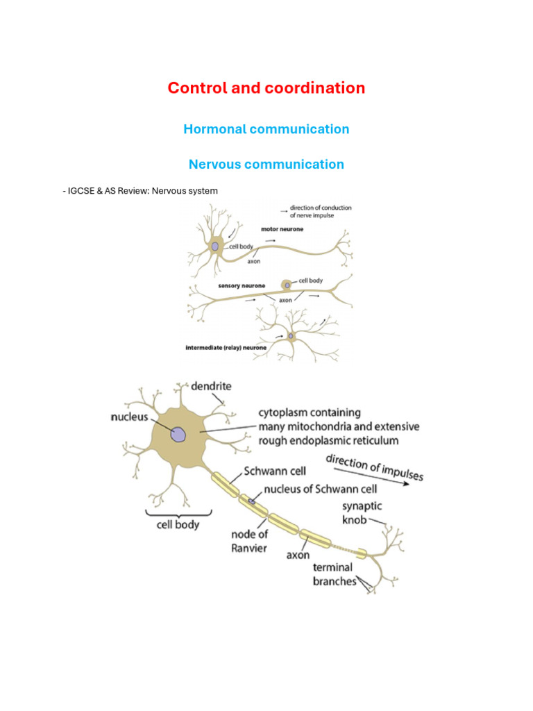 Control and coordination | PDF | Action Potential | Stimulus (Physiology)