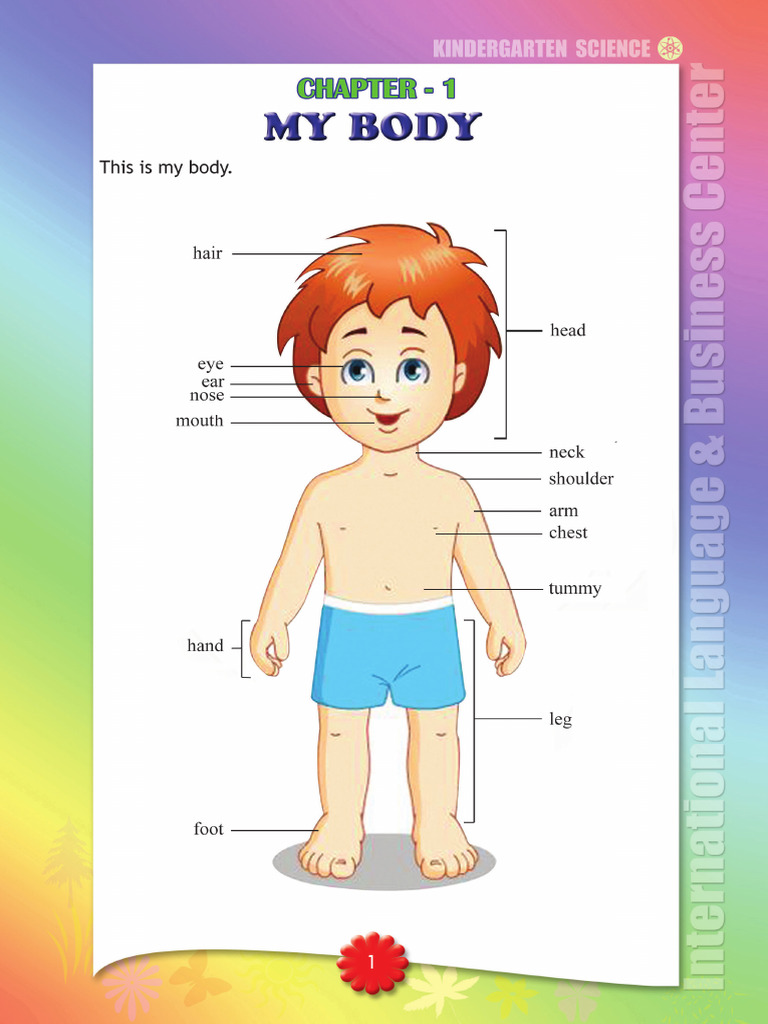 KG Science Unit (1) My Body | PDF