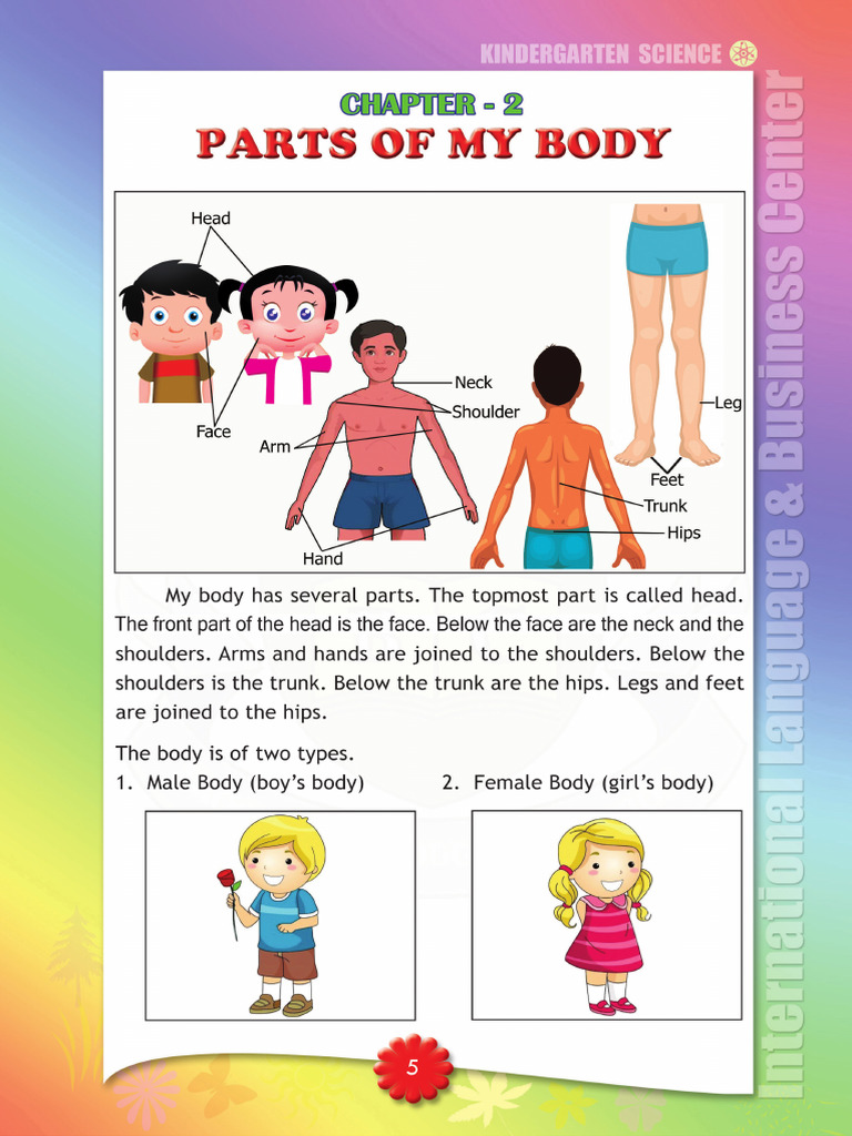 KG Science Unit-2 | PDF
