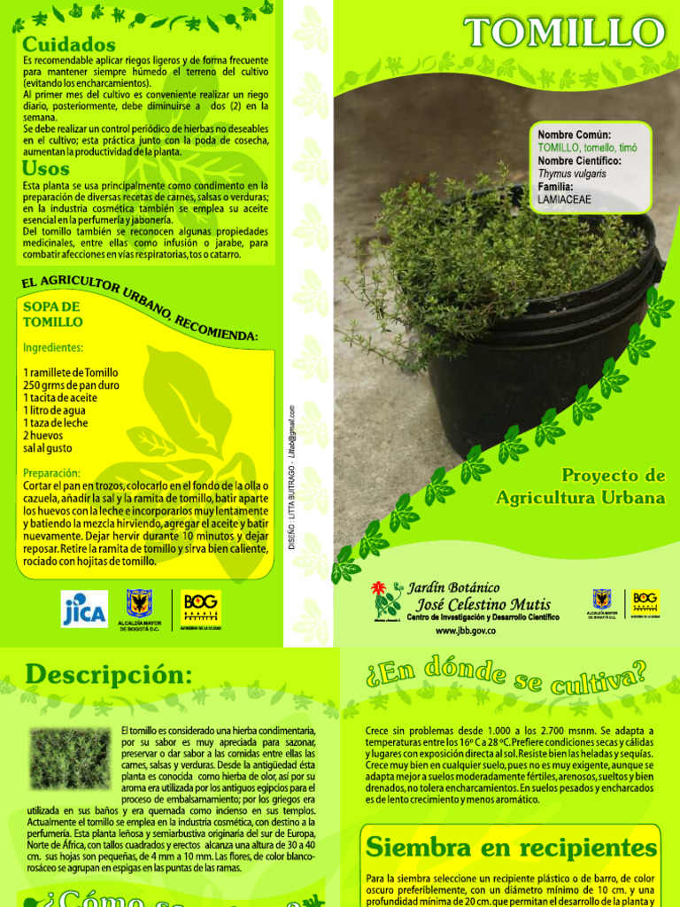 Guia para Cultivos de Tomillo | PDF