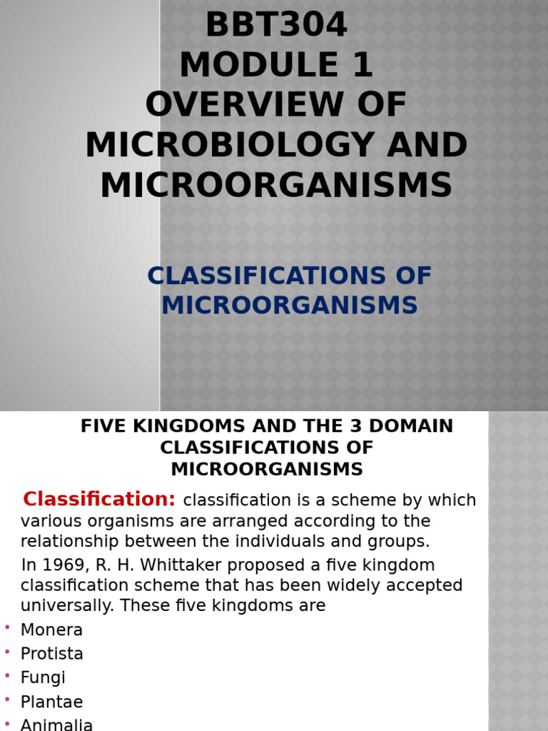 Microbiology Basics for Students | PDF | Eukaryotes | Cell (Biology)
