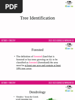 Tennessee Tree Identification Guide | PDF | Trees | Oak