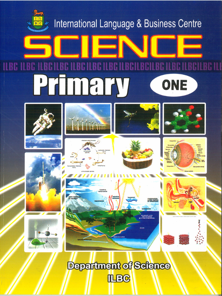 P1 Science (Chapter 1) | PDF