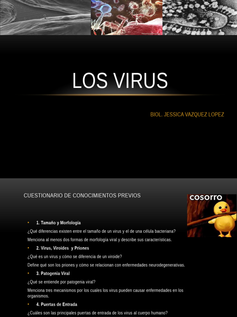 Conocimientos Clave sobre Virus y Patogenia | PDF | Virus | Biología ...