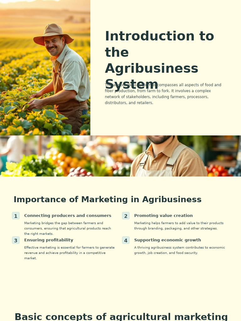 Introduction To The Agribusiness System | PDF | Marketing | Pricing