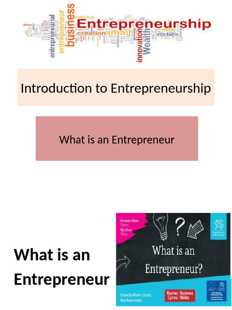 What Is An Entrepreneur and Introduction | PDF | Entrepreneurship ...