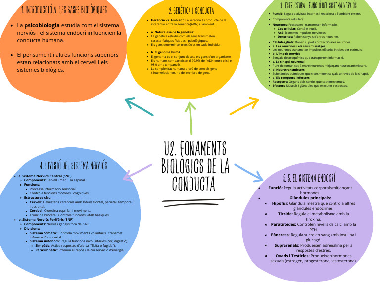 Mapaconceptual Unitat 2 | PDF
