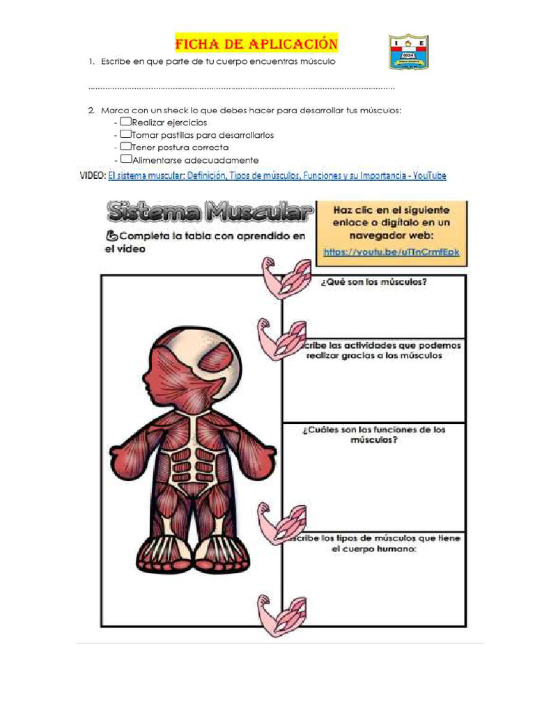 Ficha de Ciencia y T. 10-10-24 | PDF