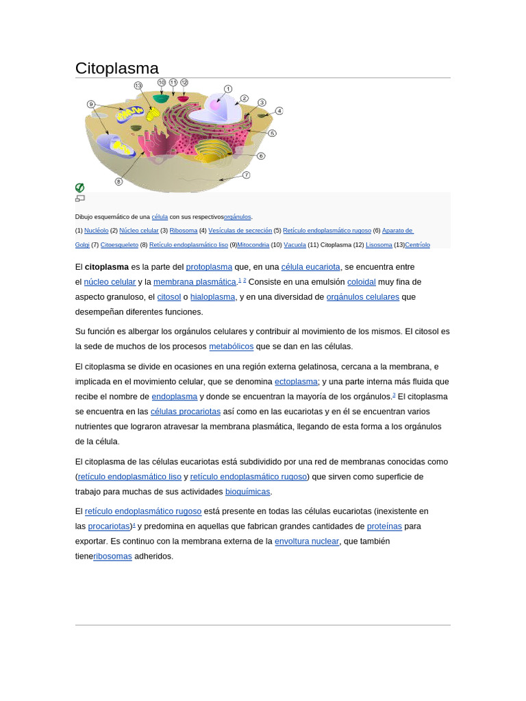 Citoplasma@@ | PDF | Citoplasma | Mitocondria