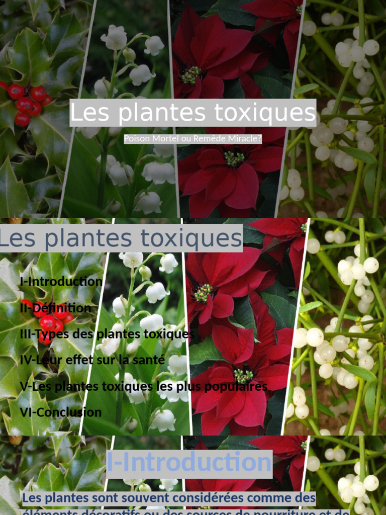 Les plantes toxiques | PDF | Toxicologie | Allergie
