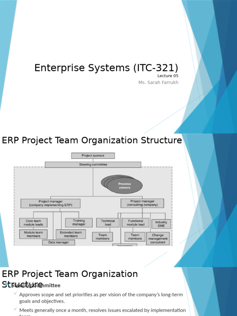 ERP Project Team Structure Overview | PDF | Enterprise Resource ...