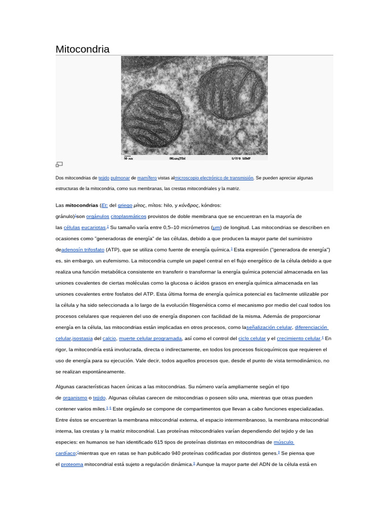 Mitocondria Pdf Mitocondria Trifosfato De Adenosina