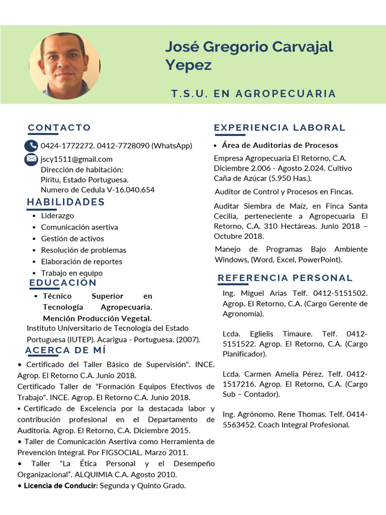 Currículum Vitae CV de José Carvajal | PDF