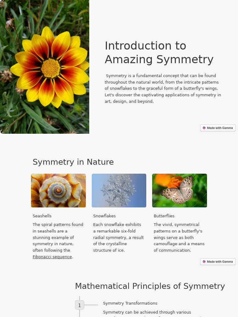 Introduction To Amazing Symmetry | PDF | Symmetry | Pattern