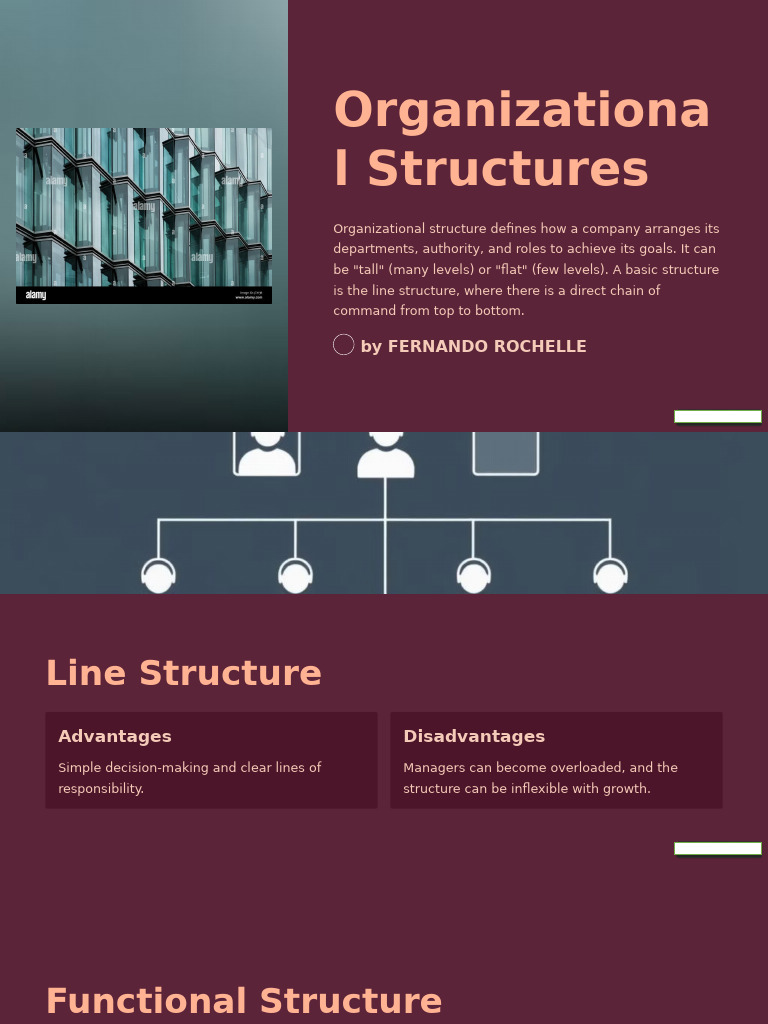 Organizational Structures | PDF | Career & Growth | Self-Improvement