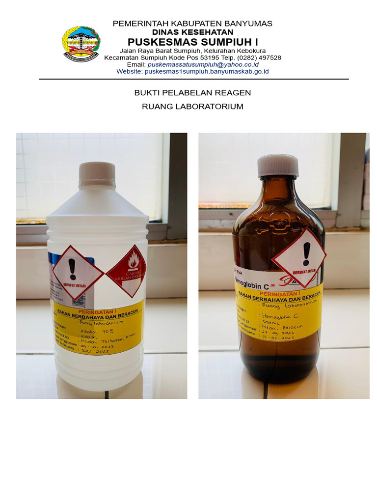 (D) 2 Penyimpanan Dan Pelabelan Reagensia (Ceklist) Fix | PDF