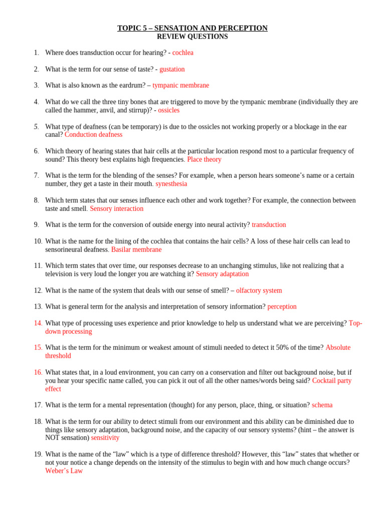 Topic 5 Review Questions - Answers | PDF | Senses | Stimulus (Physiology)