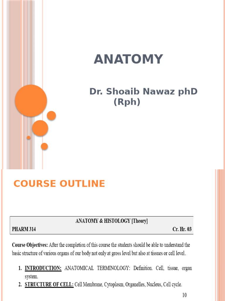 Intro to Anatomy | PDF | Anatomical Terms Of Location | Human Body