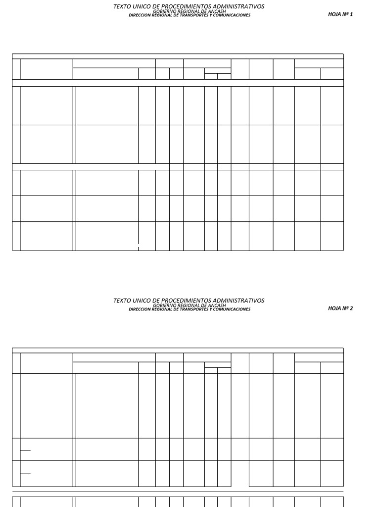Plan TUPA PDF | PDF | Licencia de conducir | Apelación