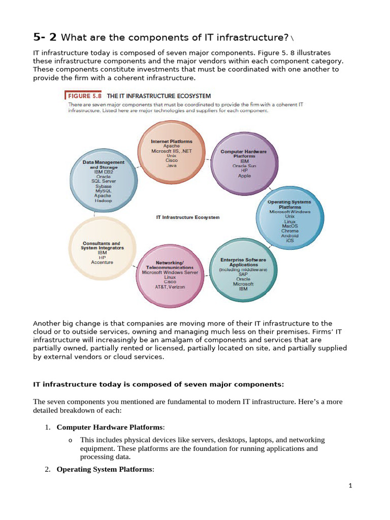 MIS Chapter 5 | PDF | Cloud Computing | Computing