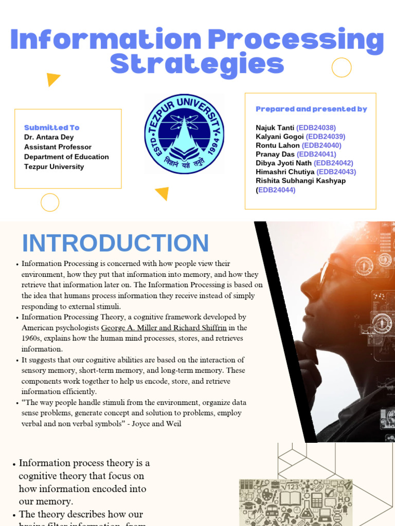 Information Processing Strategies: Prepared and Presented by Submitted ...