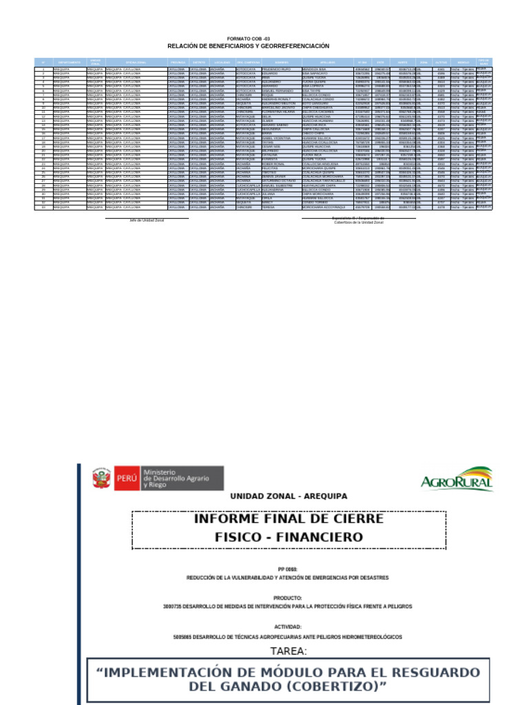 Informe Final Rufo Piedra | PDF
