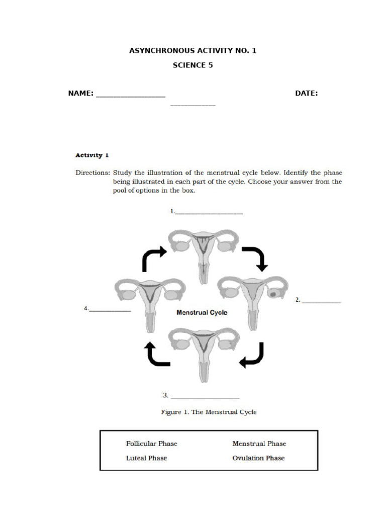 ASYNCHRONOUS-ACTIVITY-NO-1.-SCIENCE-5 | PDF