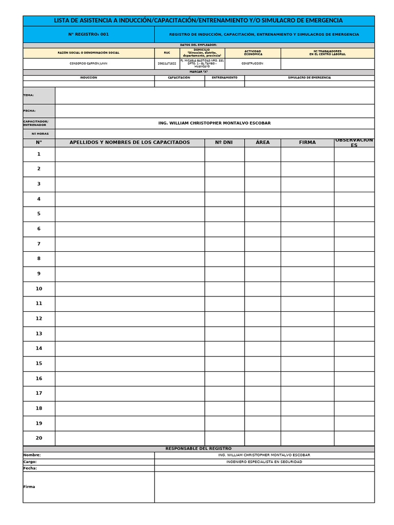 3.formato de Inducción Mtpe | PDF