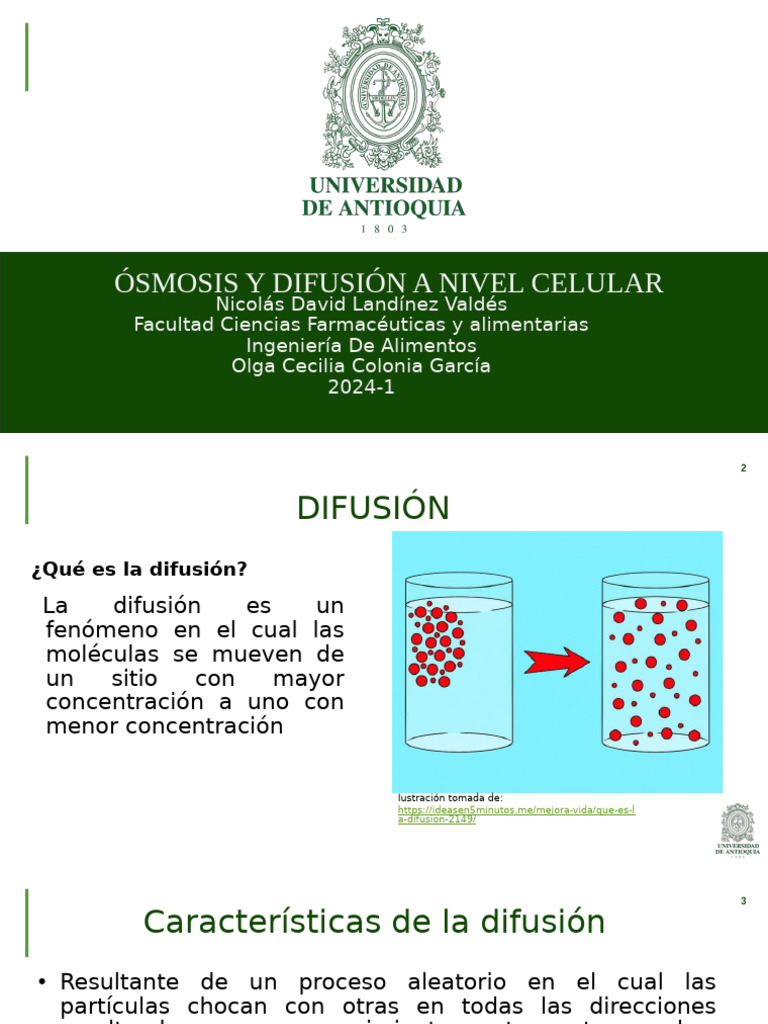OSMOSIS Y DIFSUON | PDF | Ósmosis | Difusión