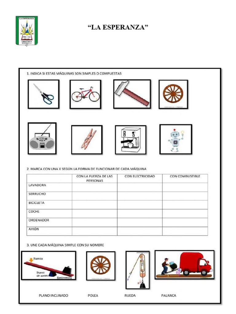 Hoja de Trabajo de CCNN 3° 2024 | PDF