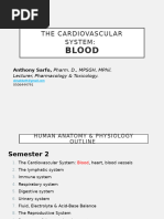CAP Cancer Protocol Colon NET | PDF | Large Intestine | Pathology