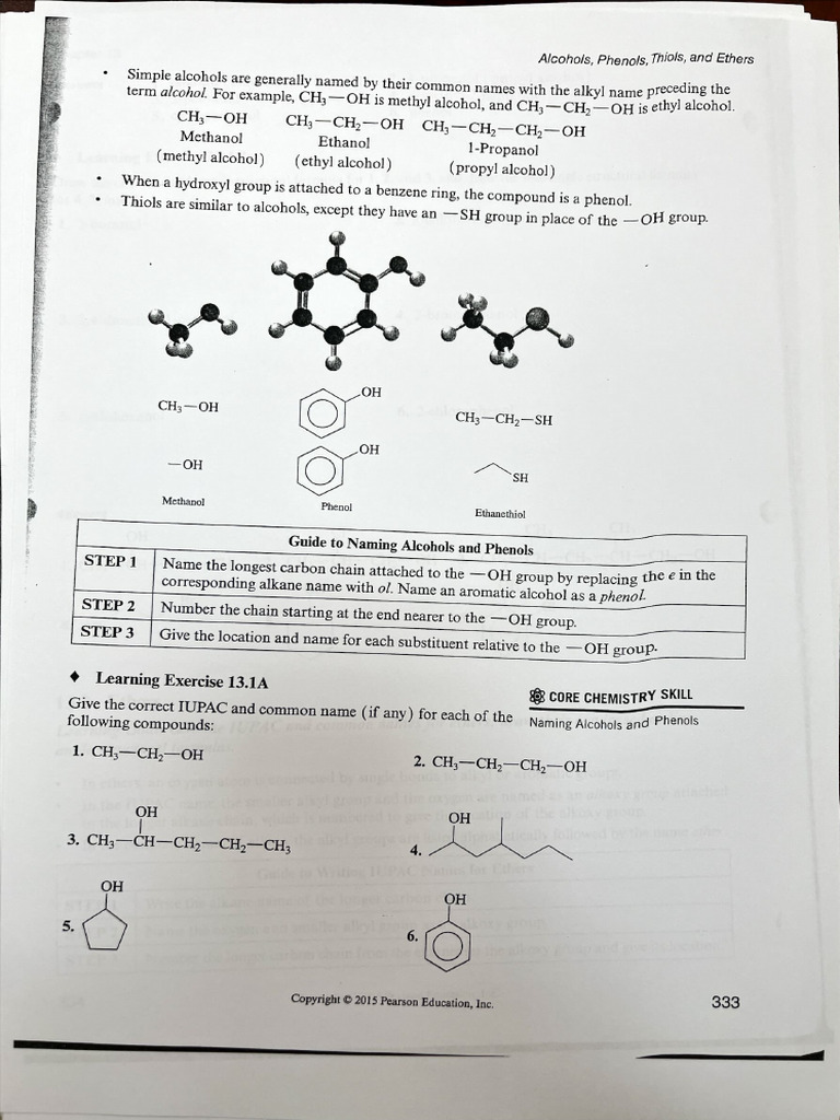 CH 13 Study Guide Key Answer | PDF