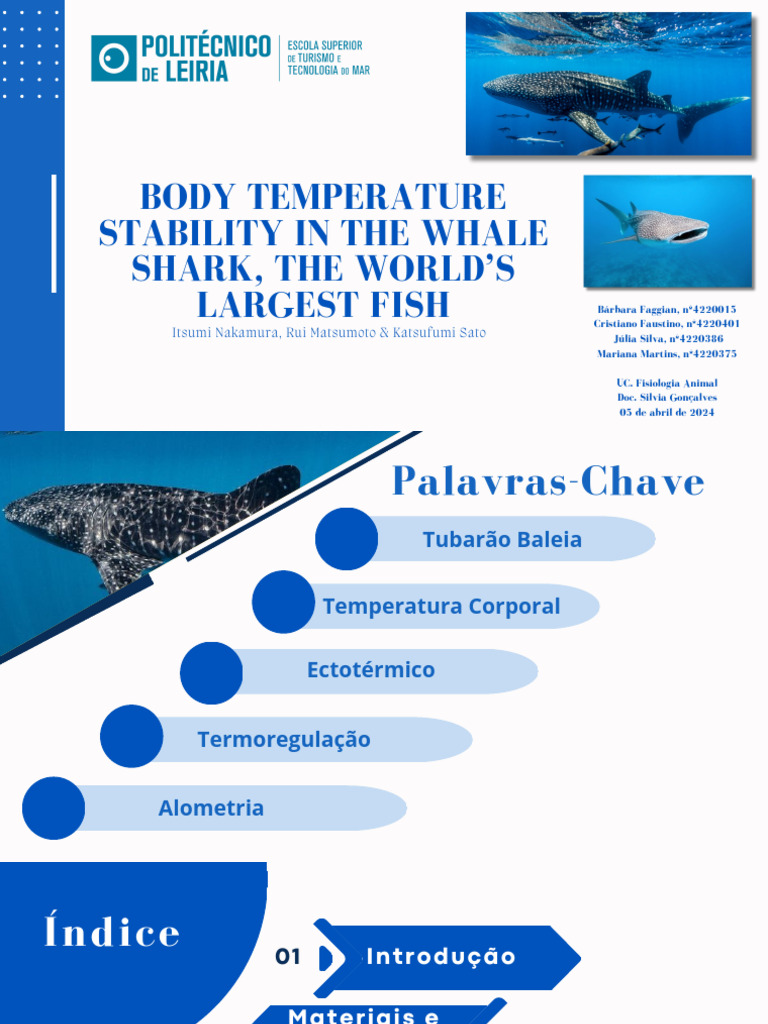 Body Temperature Stability in The Whale Shark, The World's Largest Fish ...