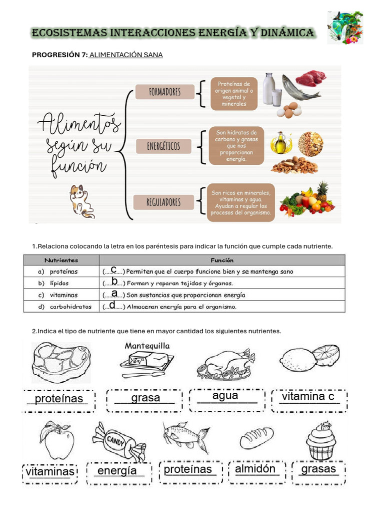 Alimentación y Ecosistemas: Interacciones y Equilibrio | PDF | Mezcla ...