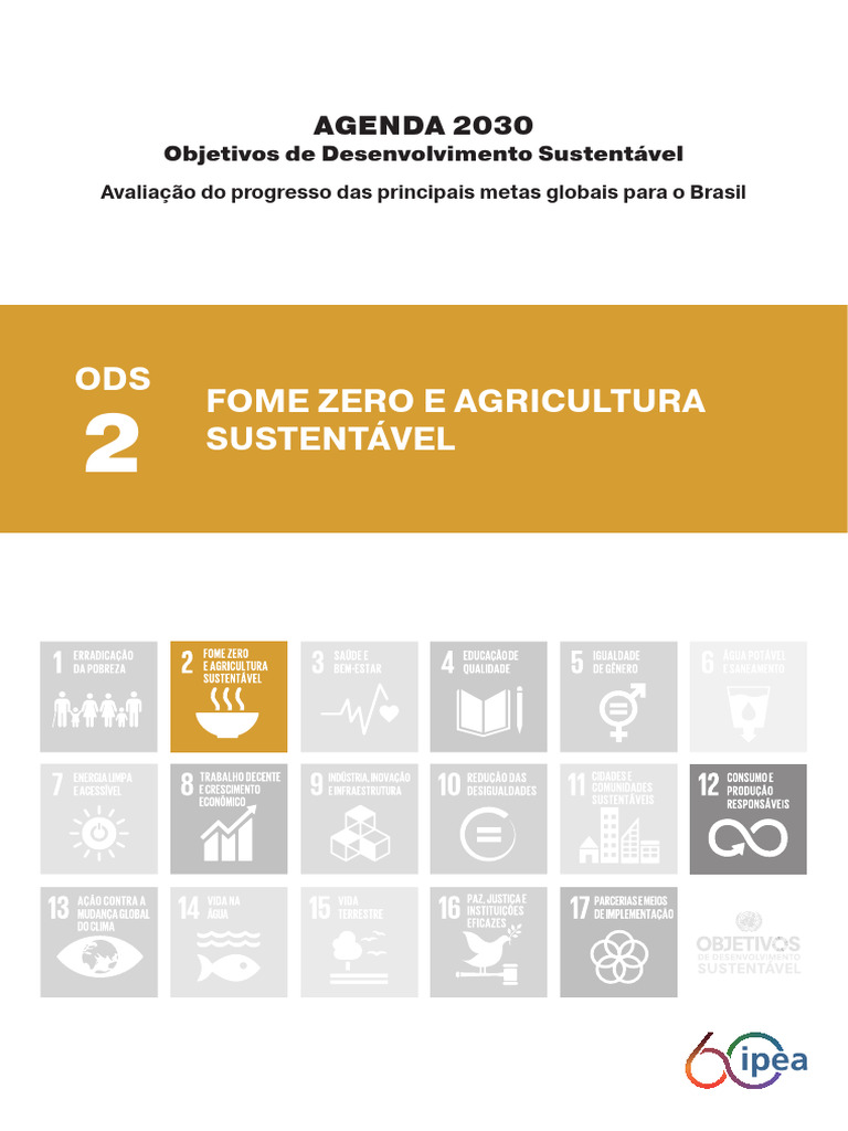 Progresso do Brasil nos ODS 2030: Fome Zero | PDF | Agricultura | Obesidade