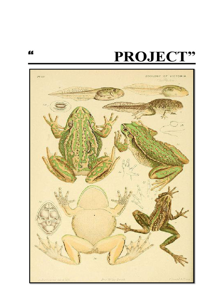 Biology Class 12 Project @alyaan | PDF | Frog | Ovary