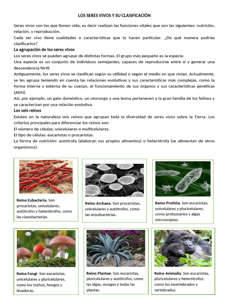 LOS SERES VIVOS Y SU CLASIFICACIÓN | PDF | Eucariotas | Organismos