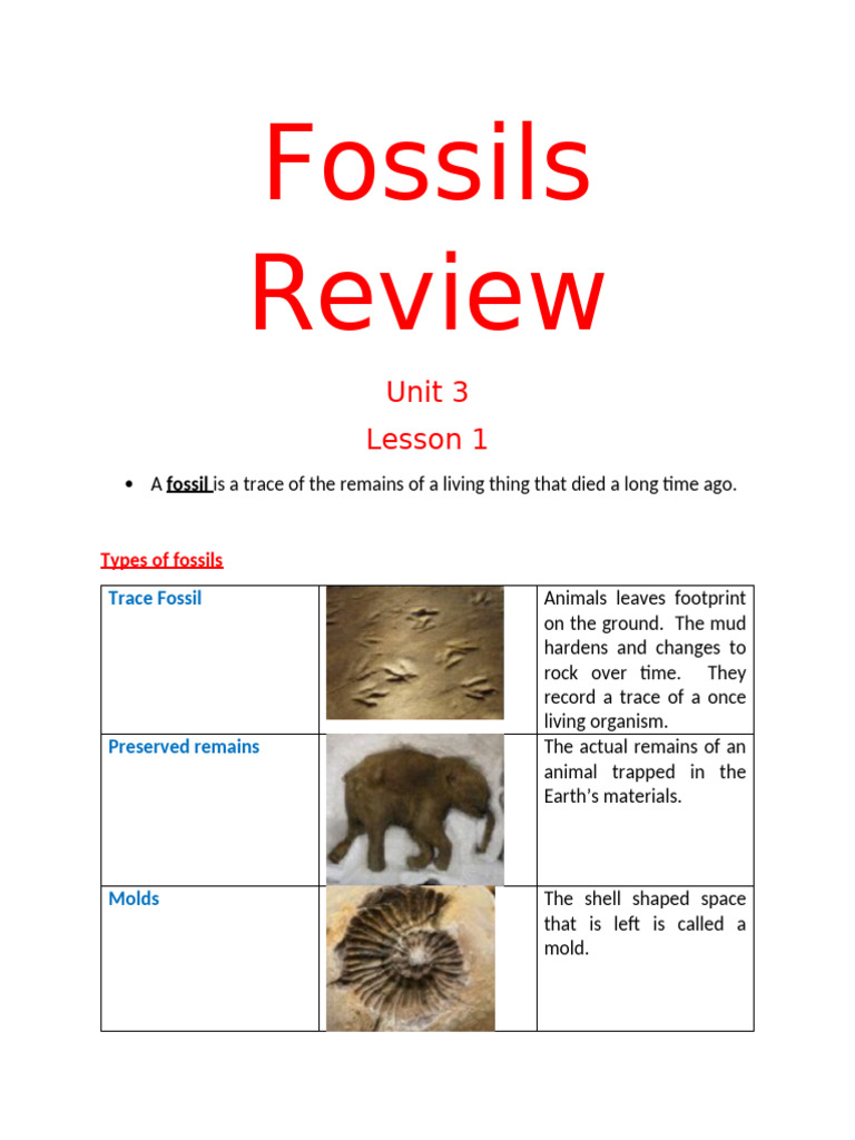 Understanding Fossils and Ecosystems | PDF | Fossil | Ecosystem