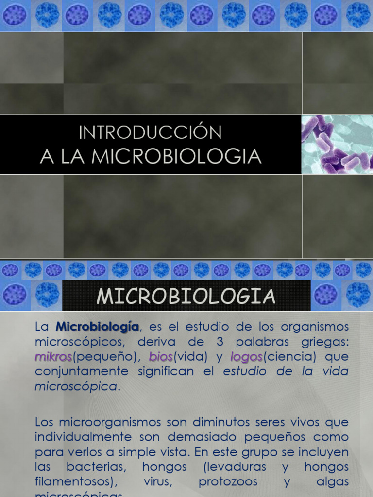 Clase 1 Introducción y Clasificación Seres Vivos | PDF | Las bacterias ...