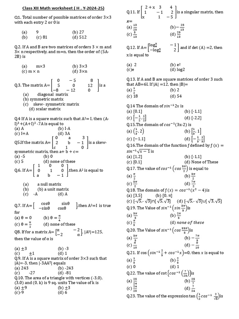 Class XII Math Worksheet 24 | PDF | Matrix (Mathematics) | Function ...