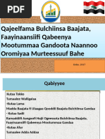 Qajeelfama Bulchiinsa Baajataa Lakk - FA.4.2004 Final | PDF