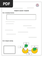 ANSWER KEY Enzyme Worksheet | PDF | Enzyme | Active Site