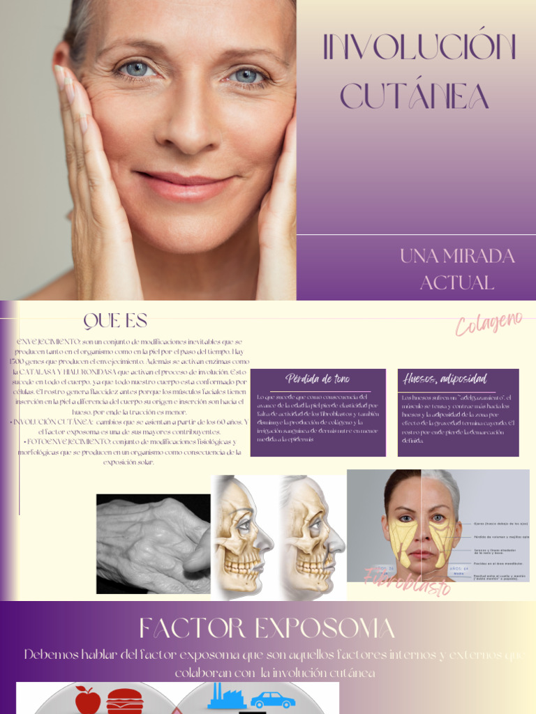 Involución Cutánea y Envejecimiento | PDF | Piel | Anatomía
