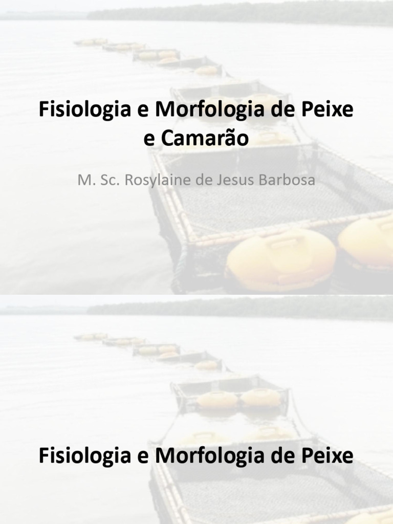 Fisiologia e Morfologia de Peixes e Camarões | PDF | Peixes | Corpo humano