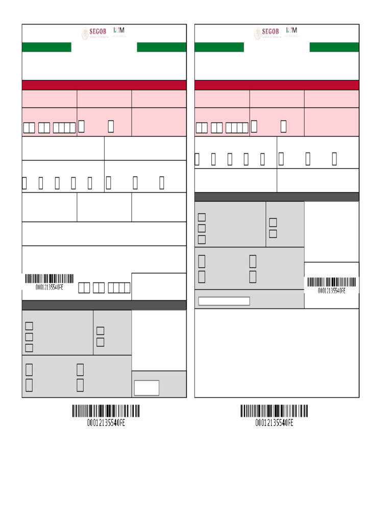 FMM example | PDF | Visa de viaje | Ley internacional