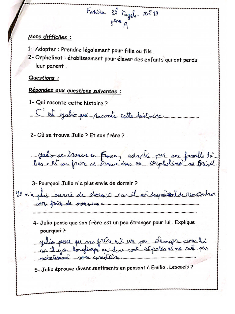 Devoir Français Compréhension | PDF