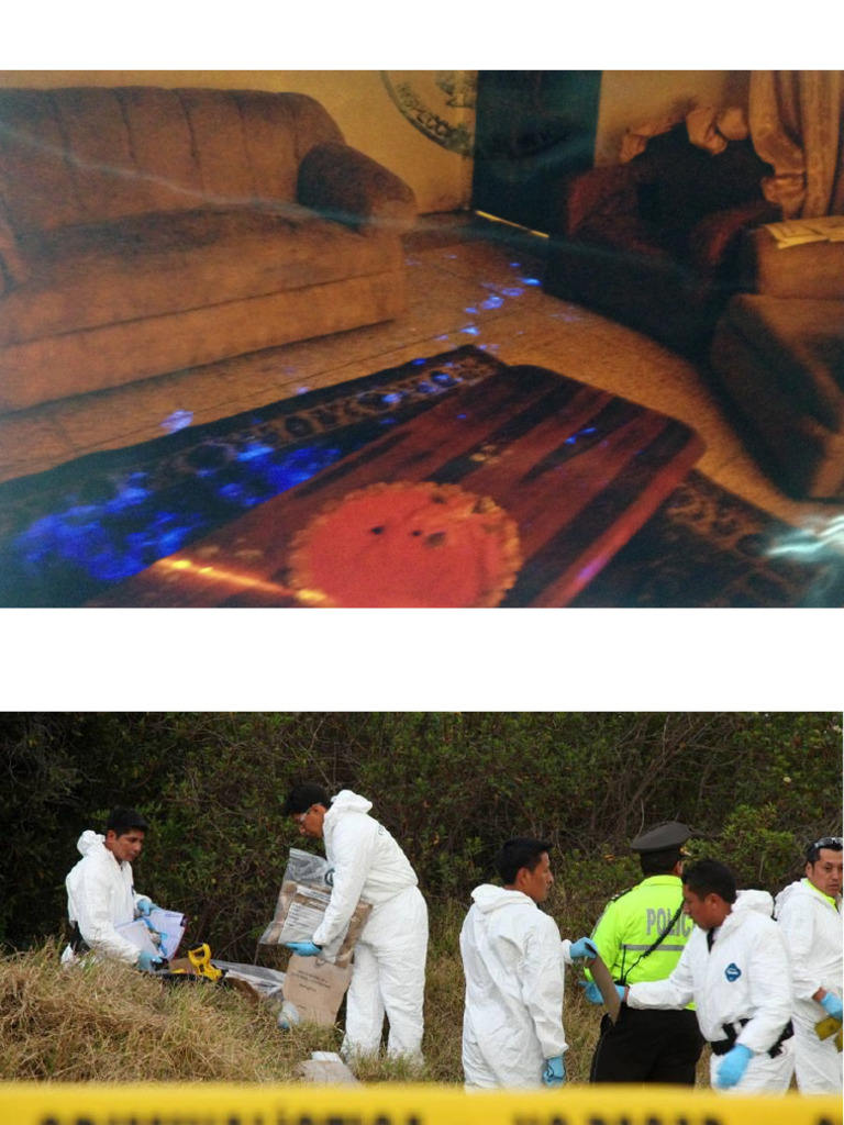 02 Hematologia Forense Análisis Criminalístico Manchas Sangre | PDF