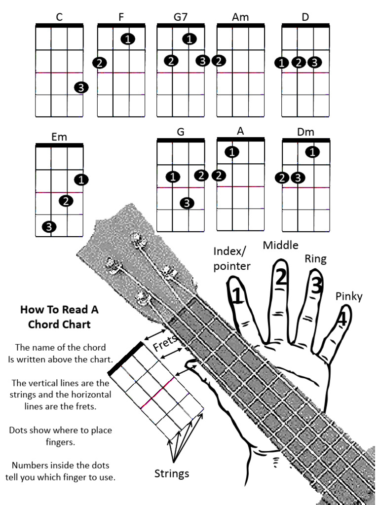 Ukulele Student Chord Sheet | PDF | Chord (Music) | European Musical ...
