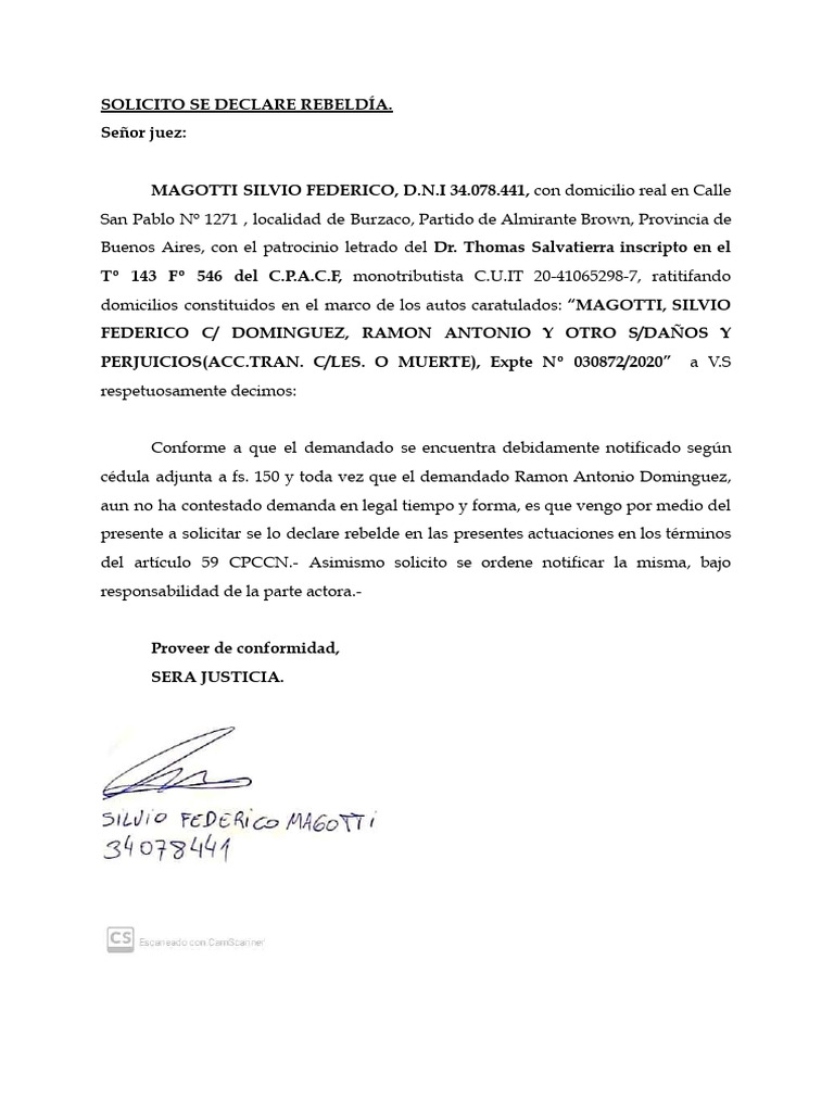 Solicito Se Declare Rebeldía | PDF