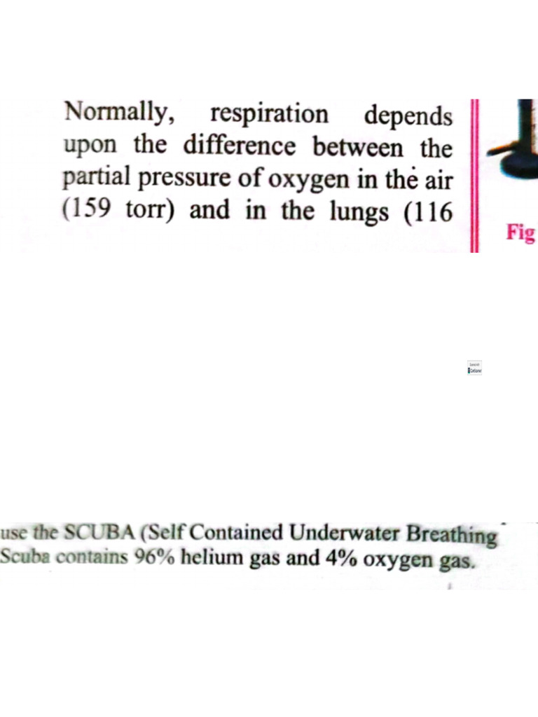 Important Points | PDF